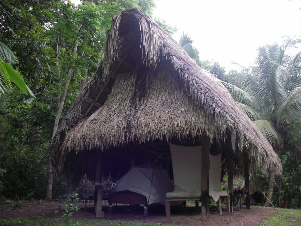 Apuntes sobre la dieta en la Amazonía – 7 Curanderas